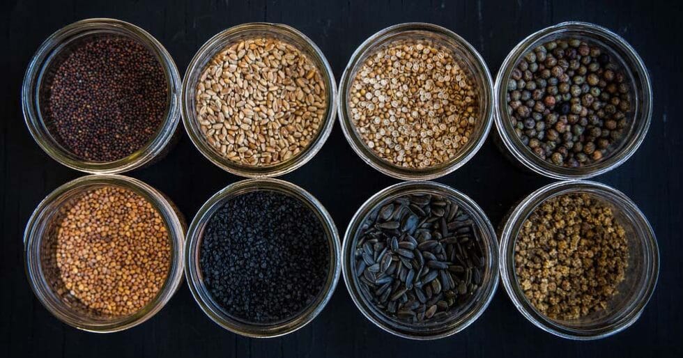 germina.ca | Les semences, c'est dans notre culture